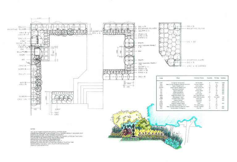 Garden Planting Plans - Seed Landscapes | Auckland Landscape Designer