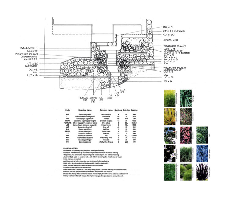 Garden Planting Plans - Seed Landscapes | Auckland Landscape Designer